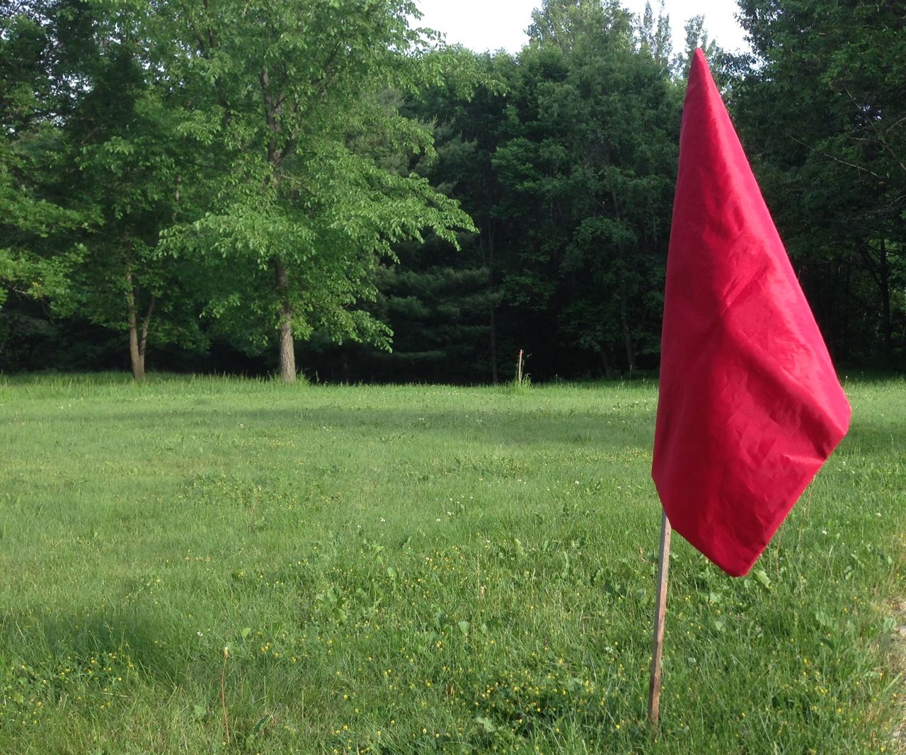 13 “red flags” that affect home values - Dear Monty